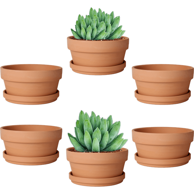 4.5 Inch Terracotta Shallow Succulent Pot - 6 Pack Terra Cotta Clay ...