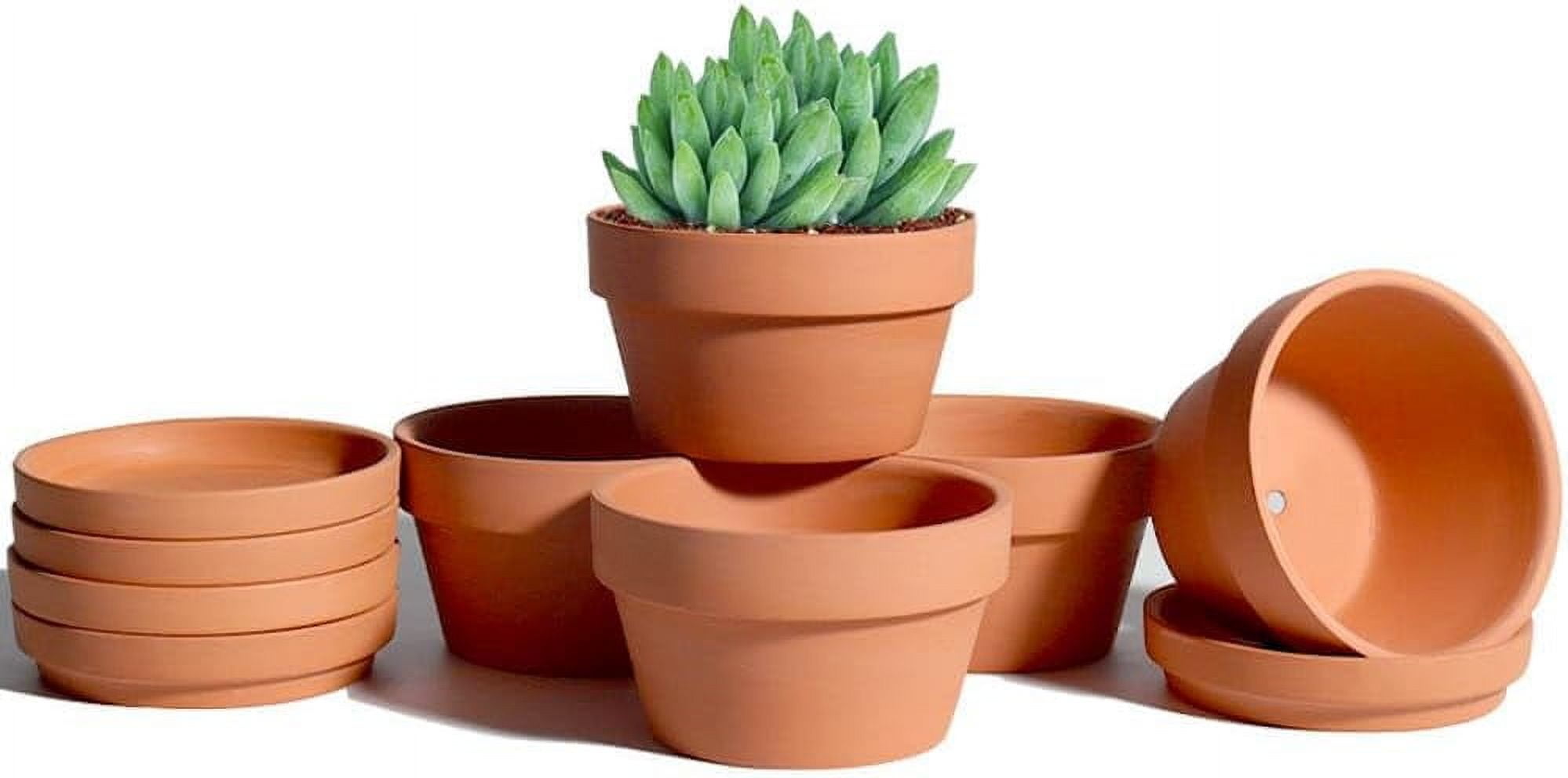 4.5 Inch Terracotta Shallow Succulent Pots - 6 Pack Terra Cotta Clay ...