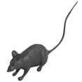 4.5"RAT (60/DISPLAY) 12 PACK - Walmart.com