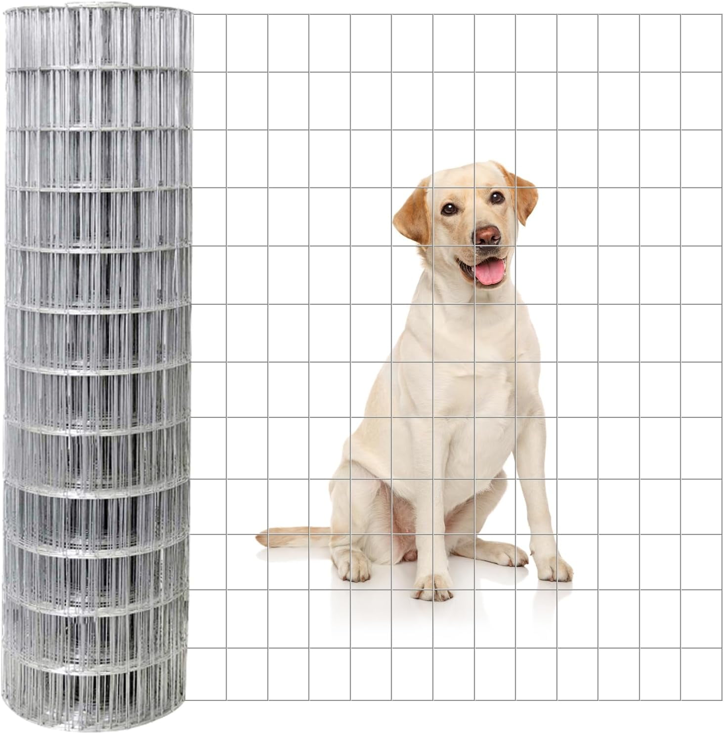 4'×50' Welded Wire Mesh, Chicken Wire Fencing, Garden Border Fencing ...