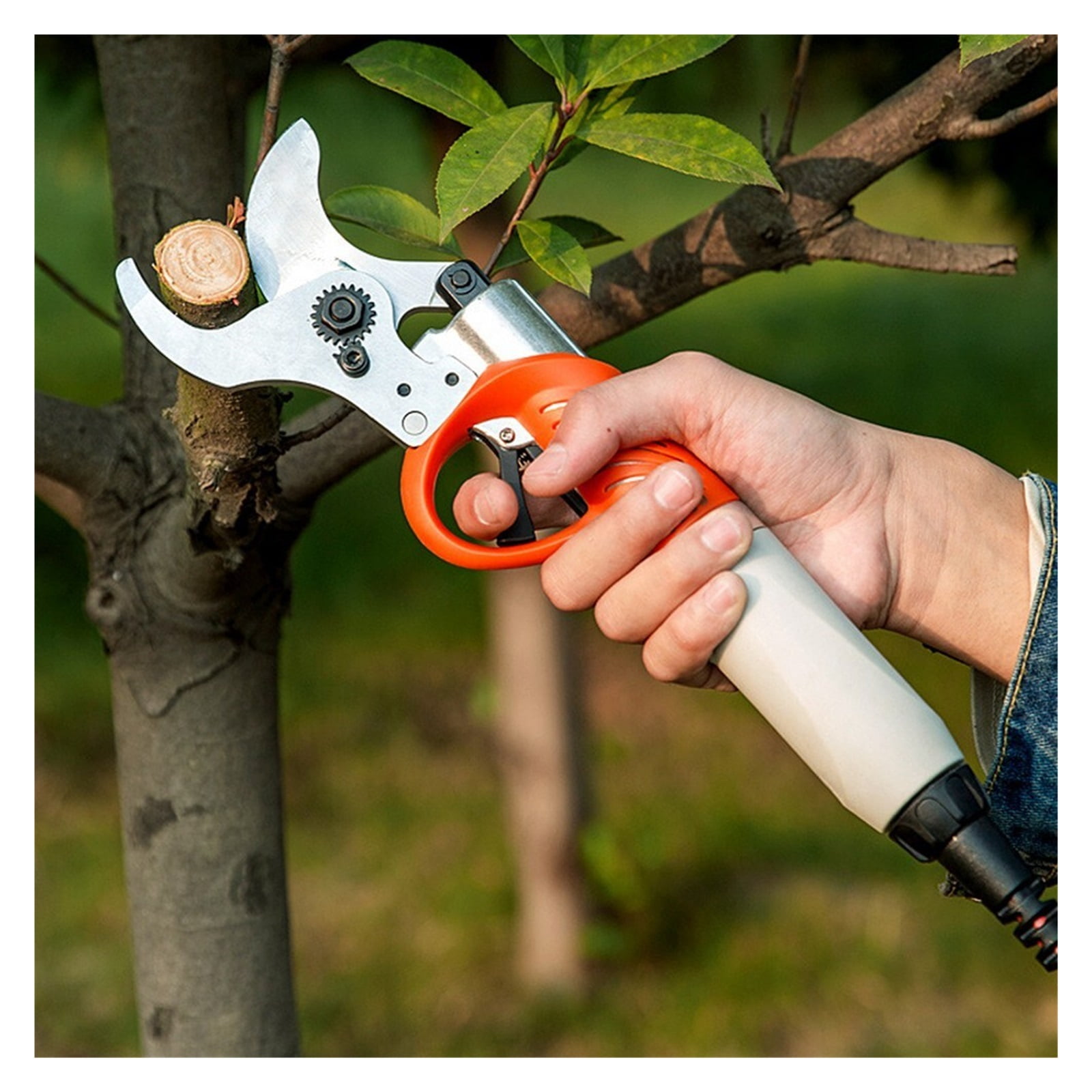 4.5CM Electric Pruner Shears 450W 4400mah Lithium Battery Orchard ...