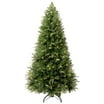 Homestock 9ft Artificial Black Christmas Tree with 950 Warm Lights ...