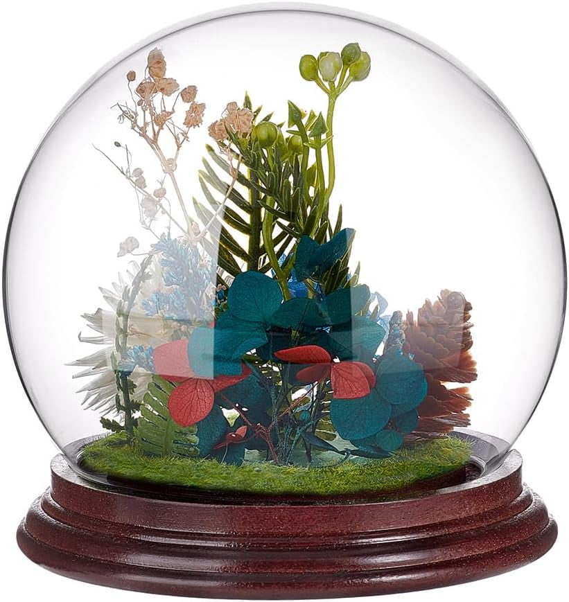 4.5x4.4 Cloche Glass Dome Display Clear Dome with Base Mini Display ...