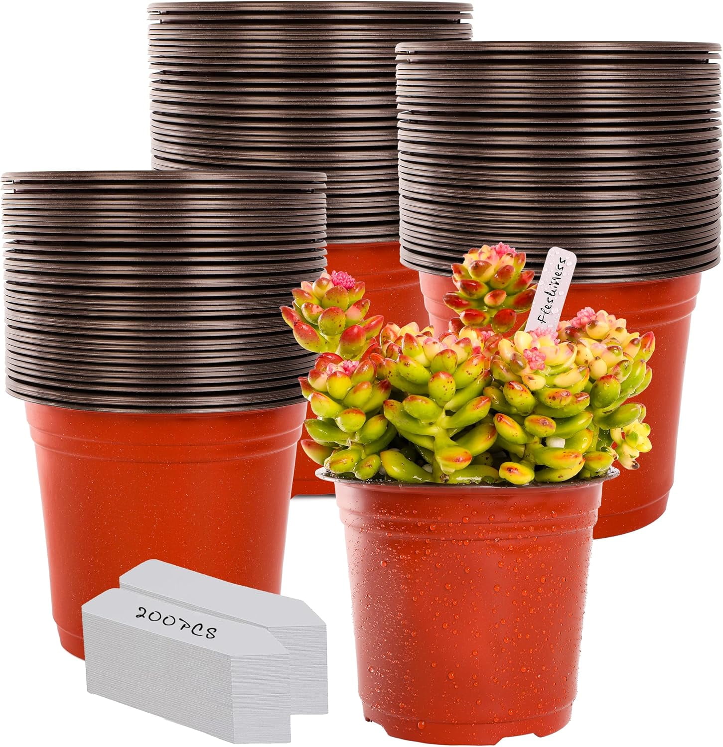 4/6 Inch Small Plastic Plant Seedling Pots Seedling Flower Plant ...