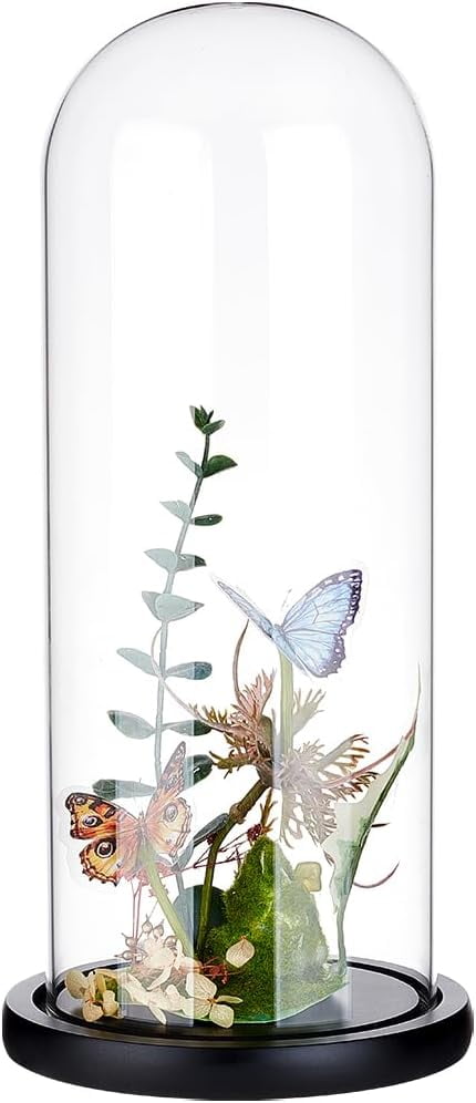 4.6x12inch Eternal Transparent Flower Glass Cover Glass Display Dome ...