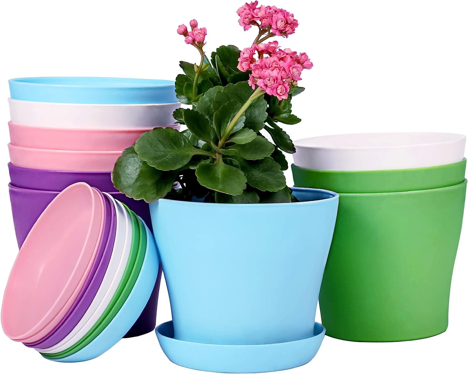 8 Pcs 4.7 inch Plastic Planters,Indoor Plant Flower Succulent Pots ...