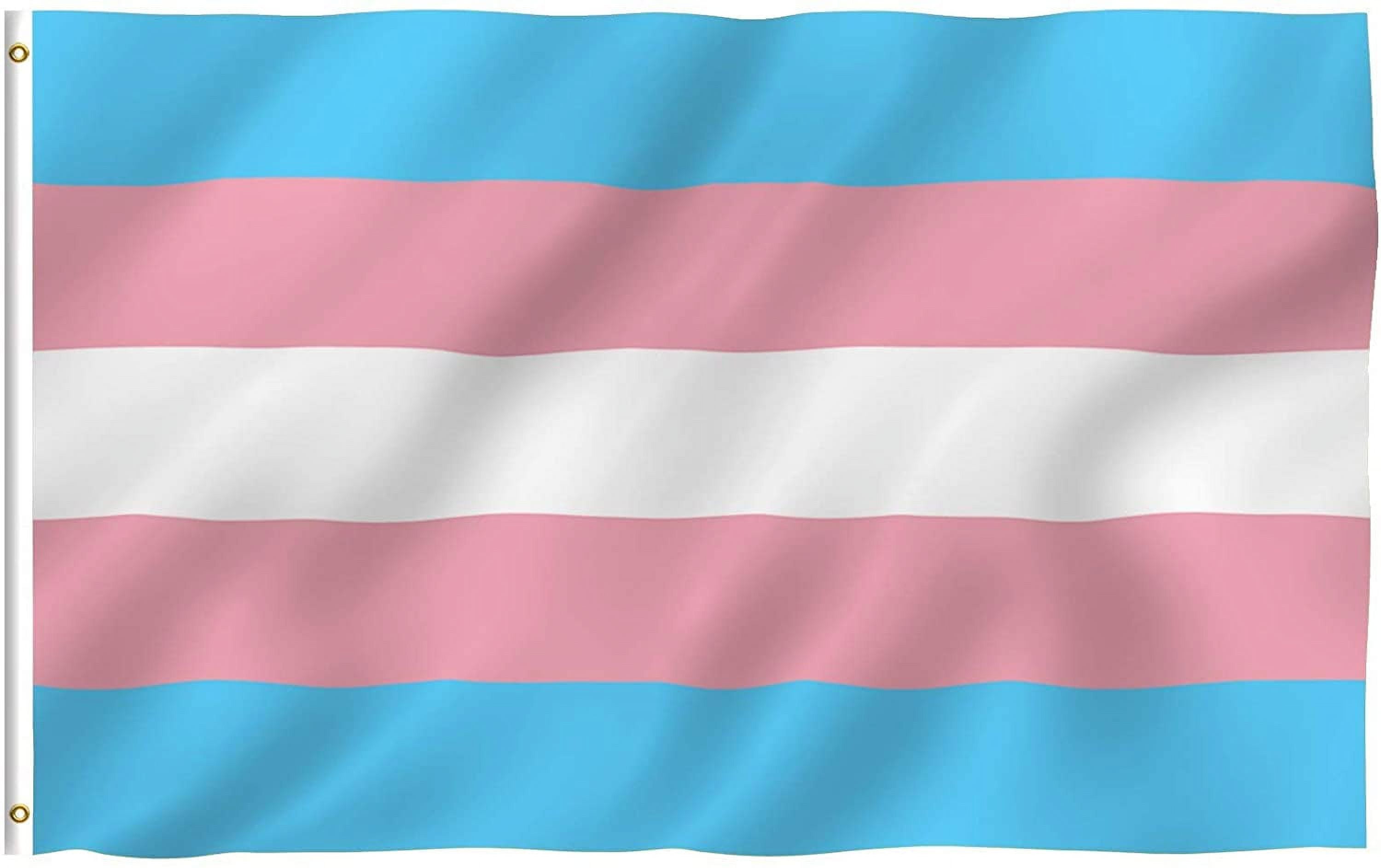 4.85x8 FT Transgender Flag - Vivid Color and Fade proof - Canvas Header ...