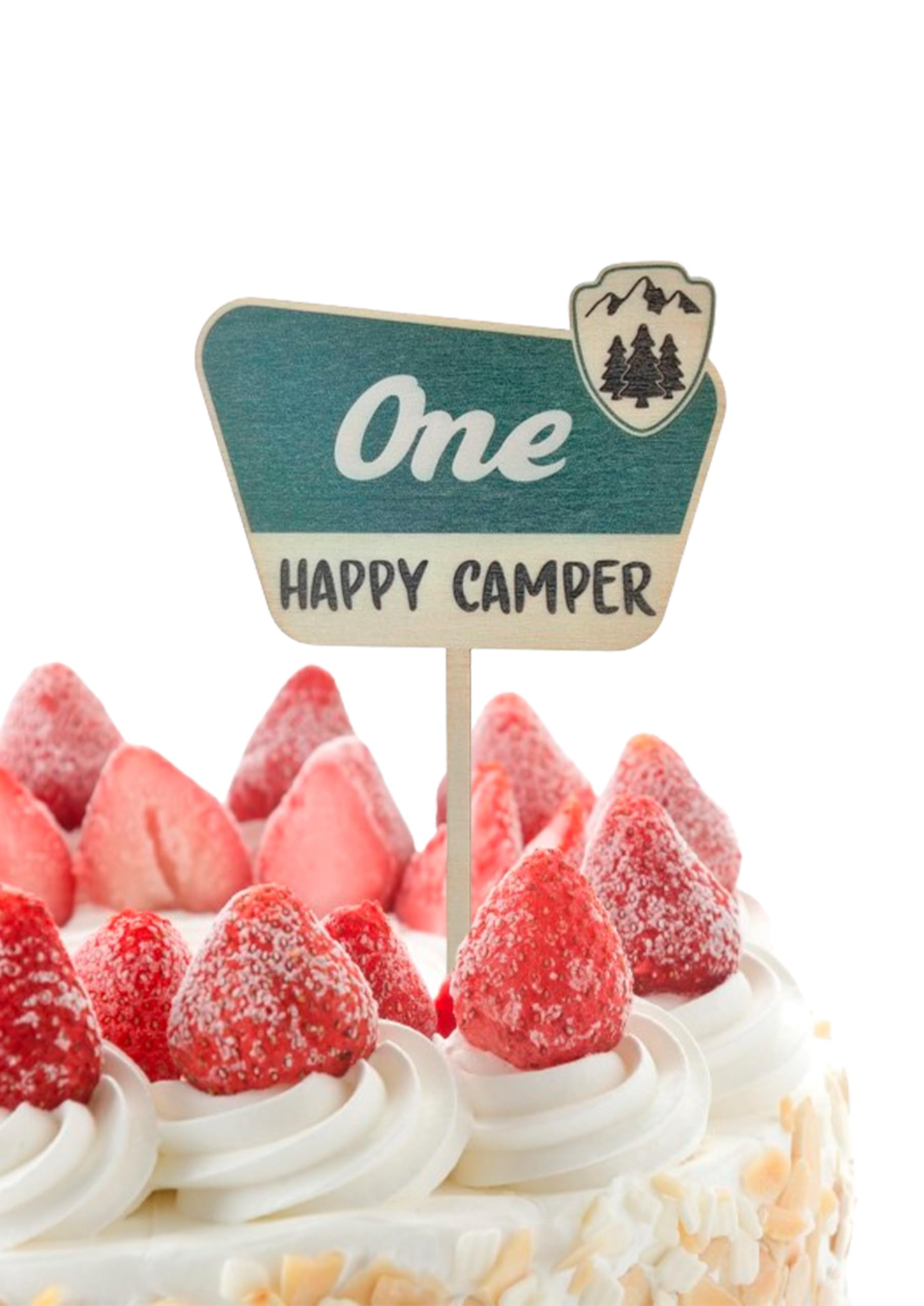 4.8x6.1 Inch Cake Topper For BSL1 Happy Camper - Happy Camper Birthday ...