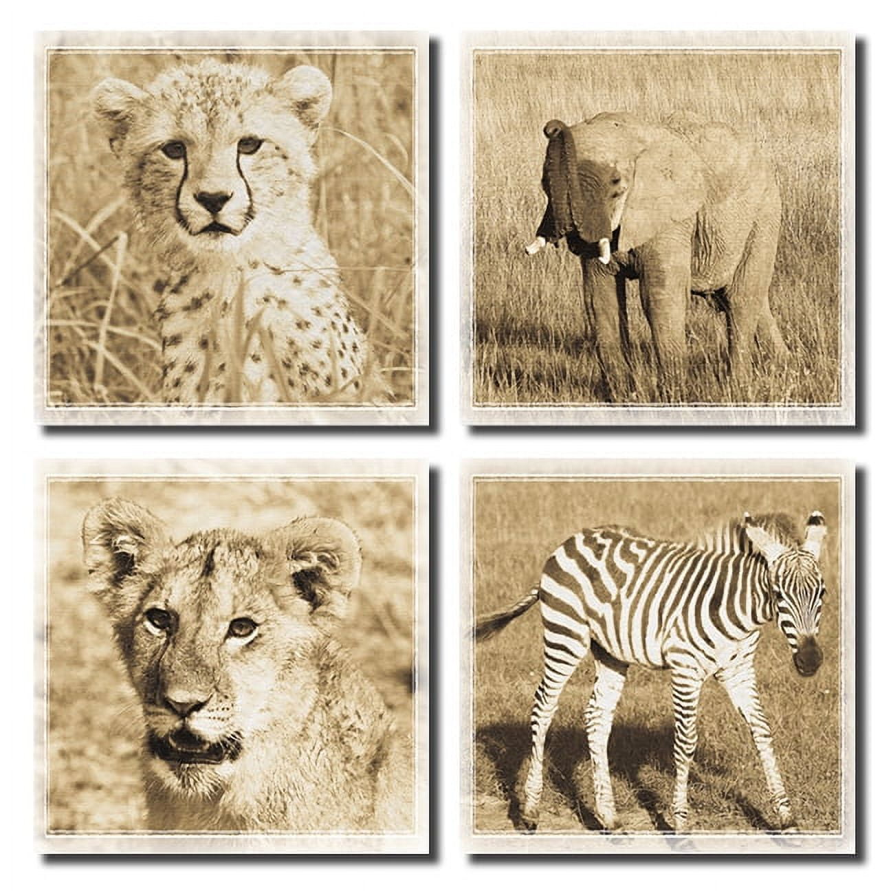 4 Baby African Safari Animals Prints Elephant Cheetah Lion Zebra ...