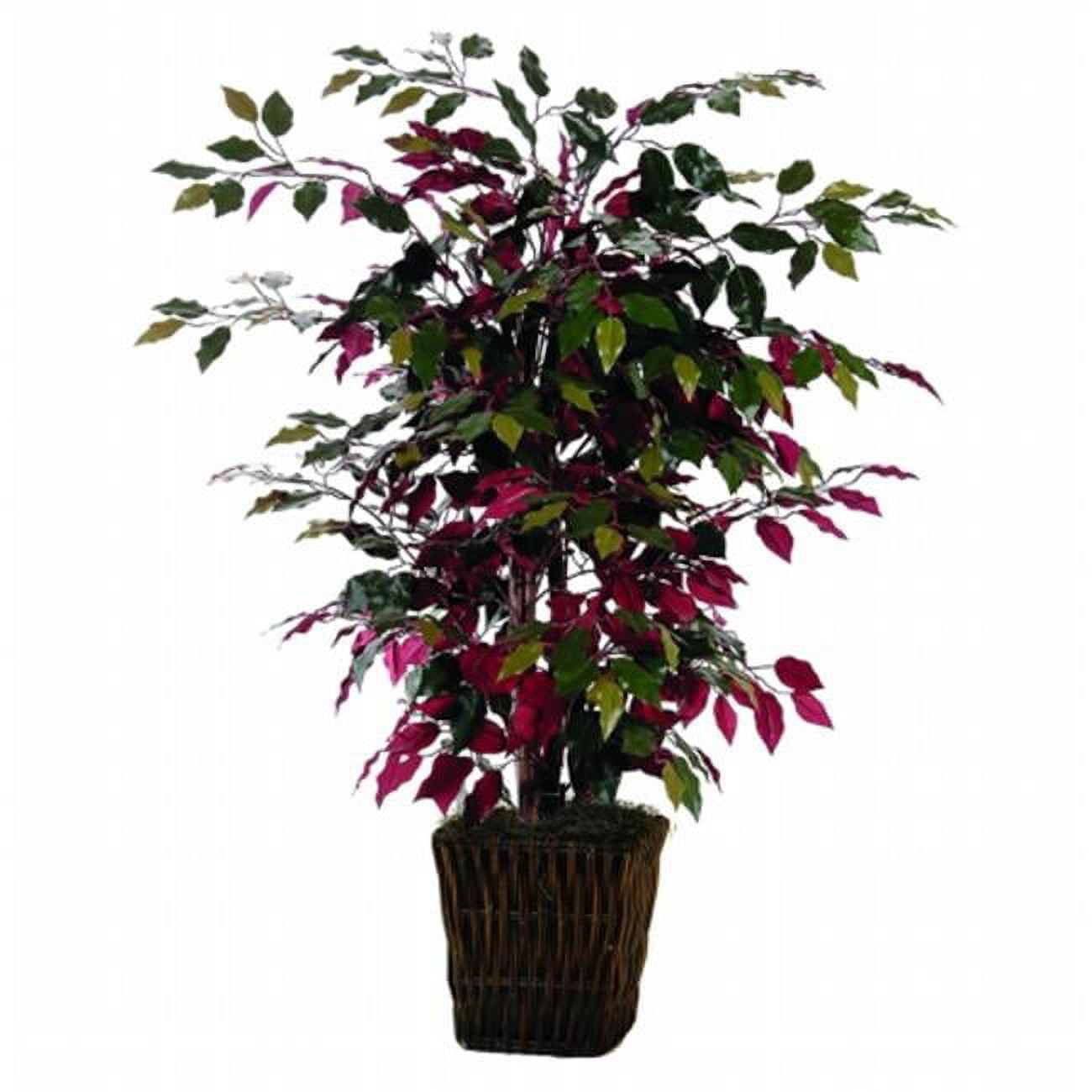 Square Bush