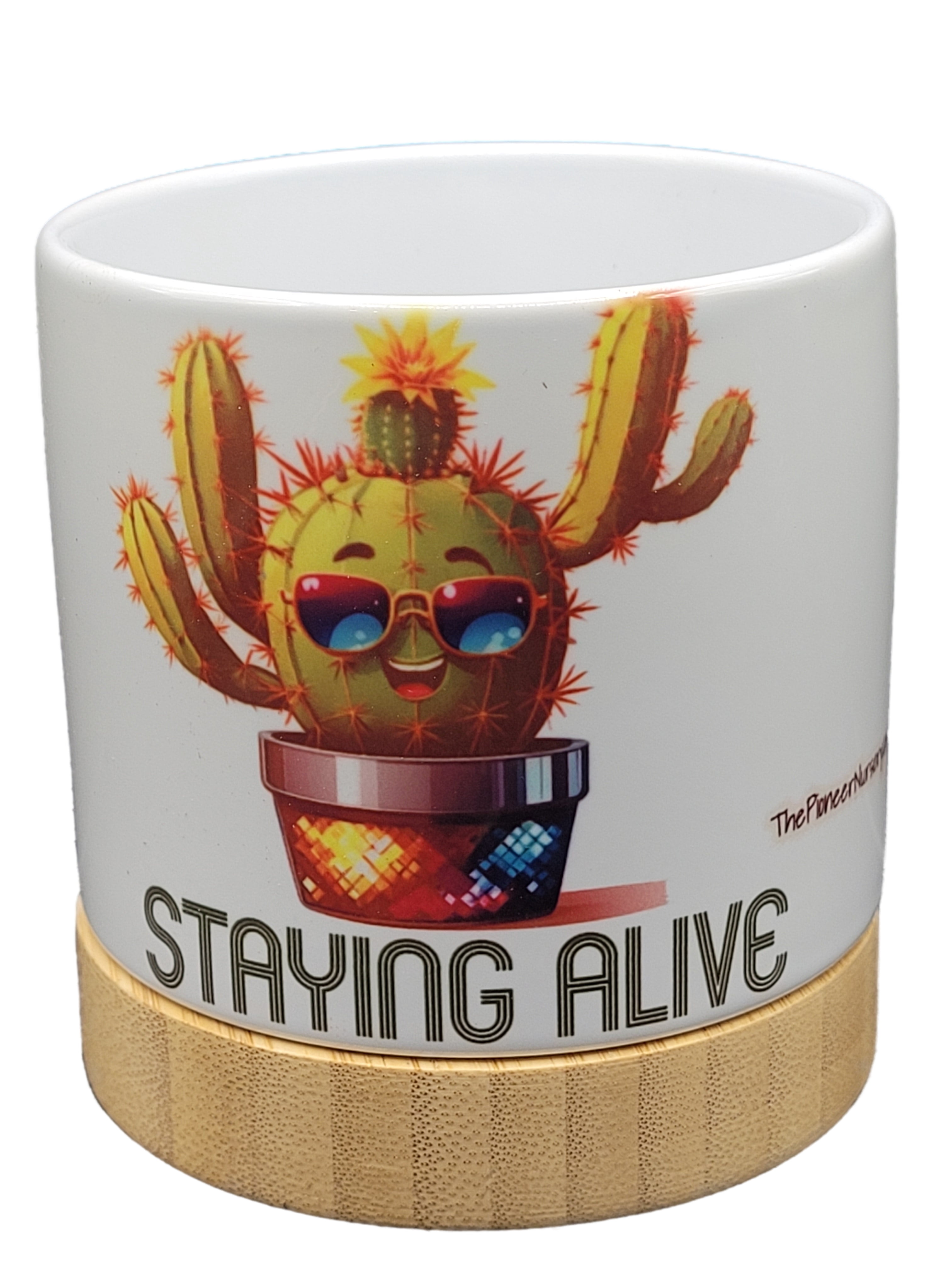 4" Ceramic Pot with Bamboo Base - "Staying Alive" - Cactus Design ...