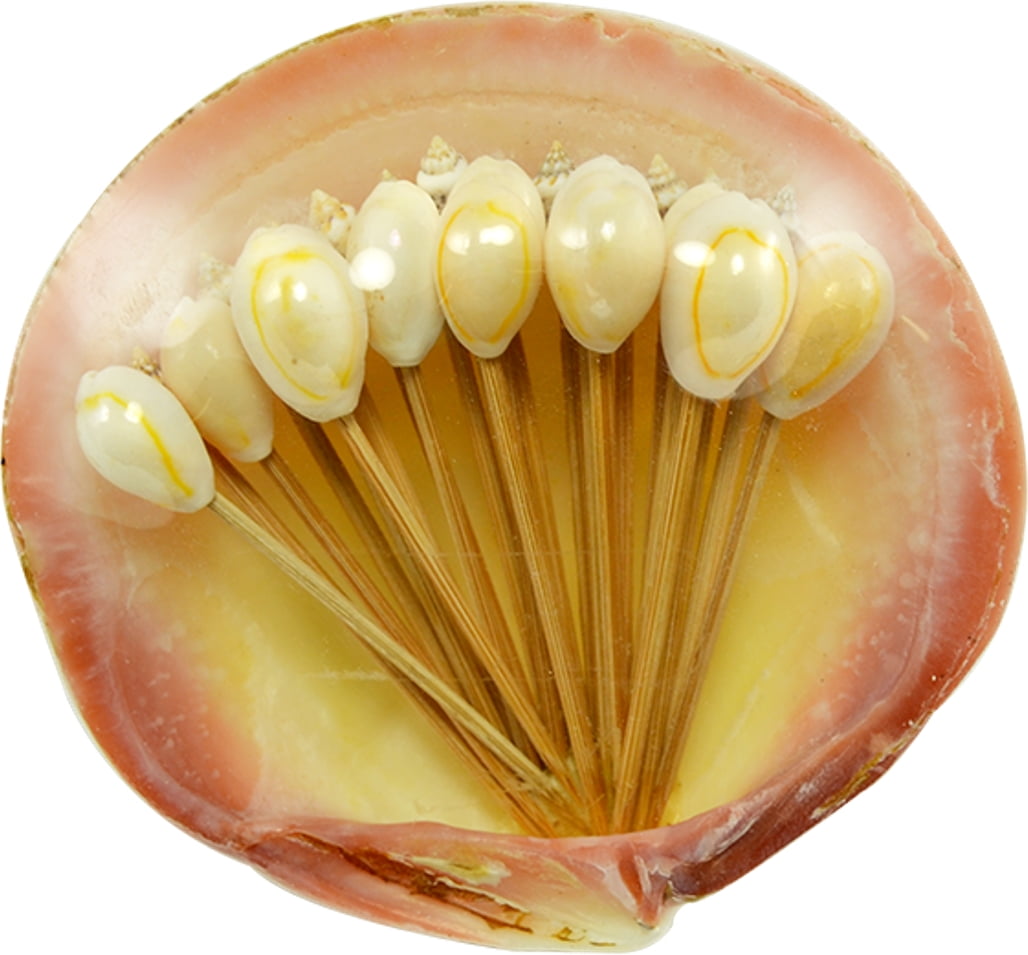 4 Clam Shells with Cocktail Toothpicks (24 pcs per clam) (Set of 4 ...