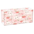 4 Compartment Clear Acrylic Desk Organizer Apple Peach Kitten Garden ...