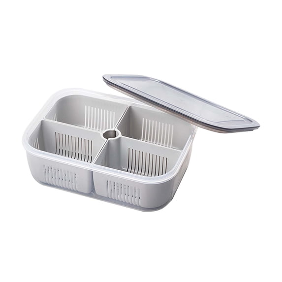 4 Compartment Fridge Storage Box, Airtight Plastic Food Container ...