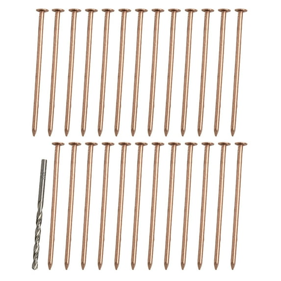 4"Copper Nails for Killing Trees Stump Root,Stump Removal Spikes ...