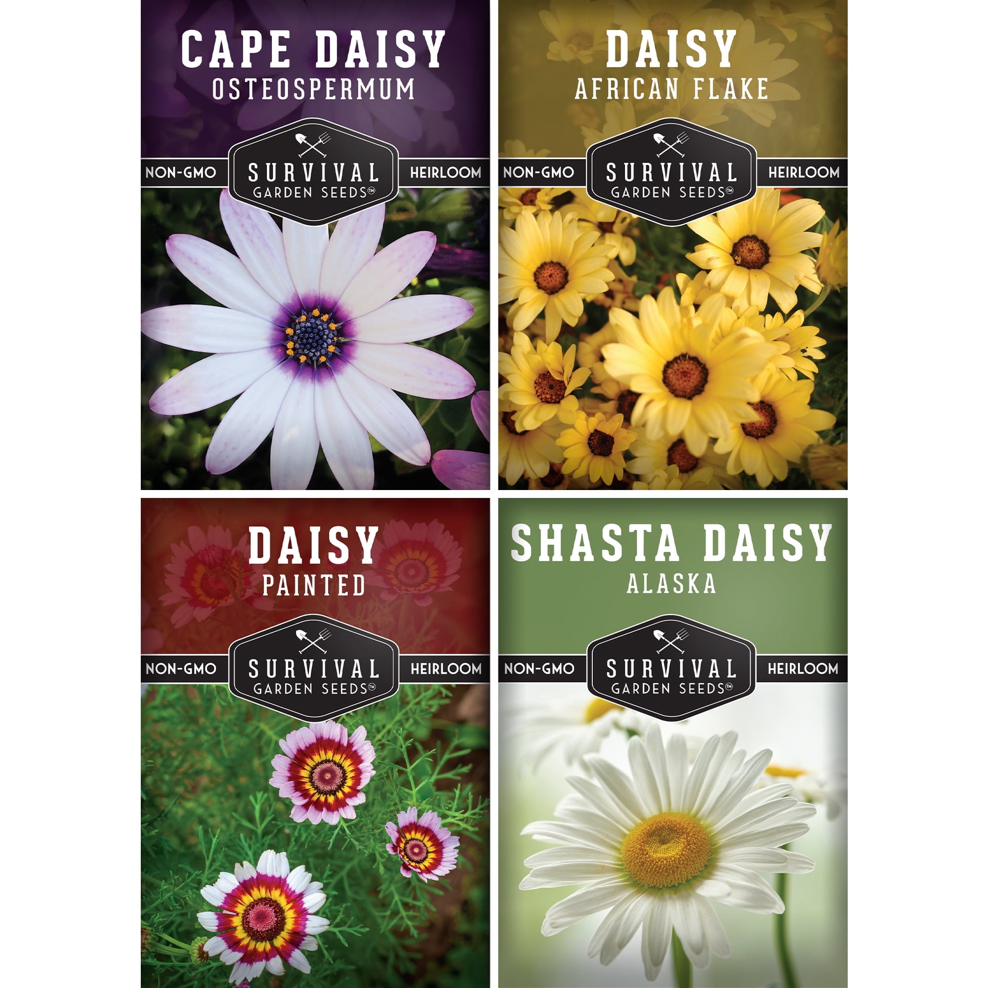 4 Daisy Seeds Collection - Full Sun Perennial Flower Seeds - Walmart.com