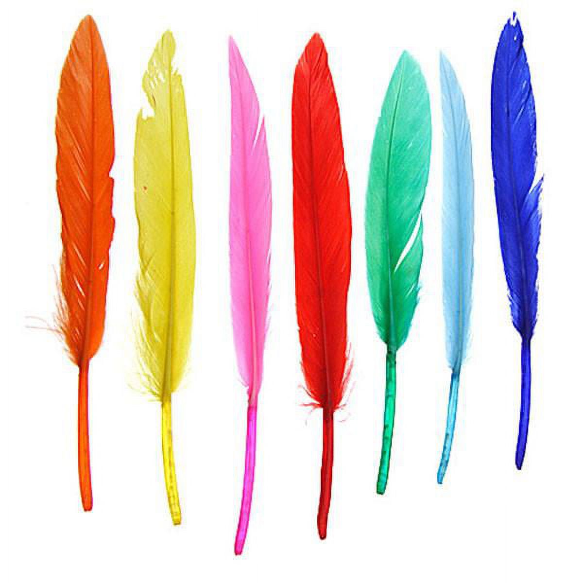4" Duck Quill - 24 Pack - Multi - Walmart.com