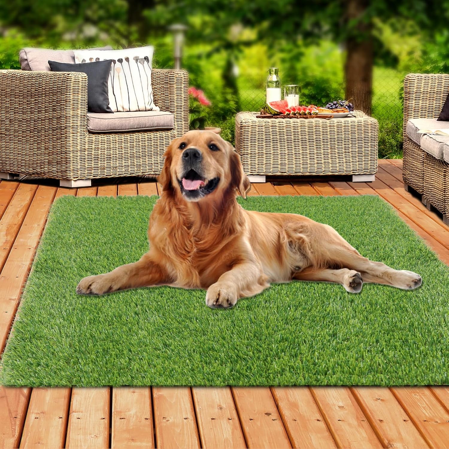 4 FT x 4 FT Fake Grass for Dogs Potty, Outdoor Thick Pets Artificial ...