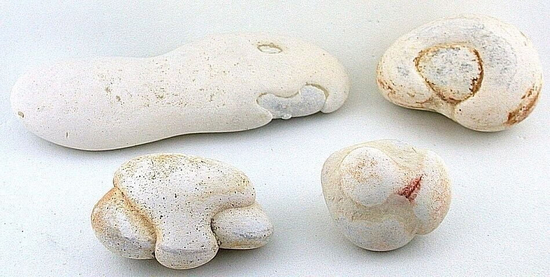 4 Fairy Stone Concretion Quebec Canada Specimen EBS5636/102122 ...