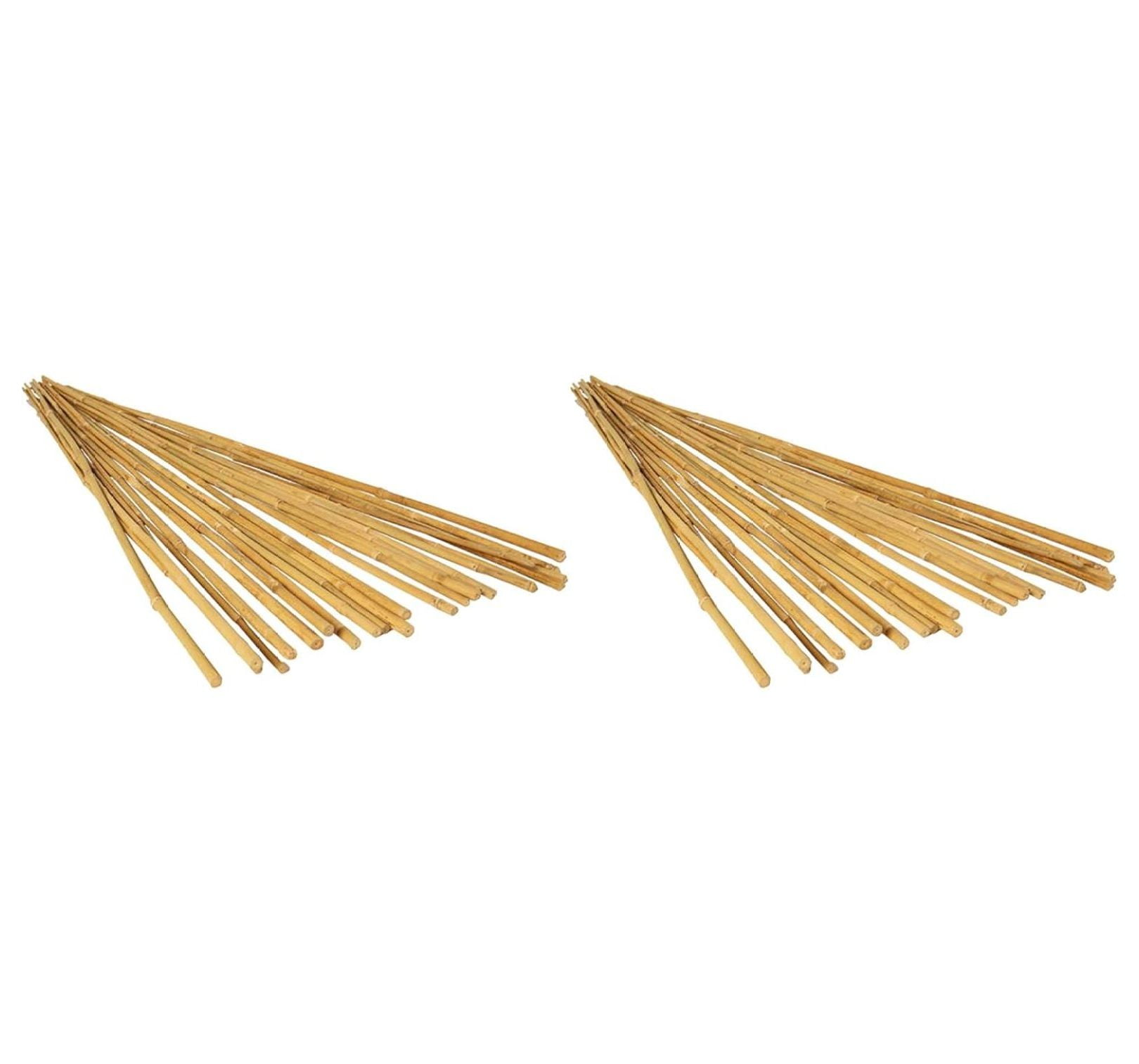 4-Foot High Strength Natural Finish Bamboo Stakes (50 Stakes) | HGBB4 ...
