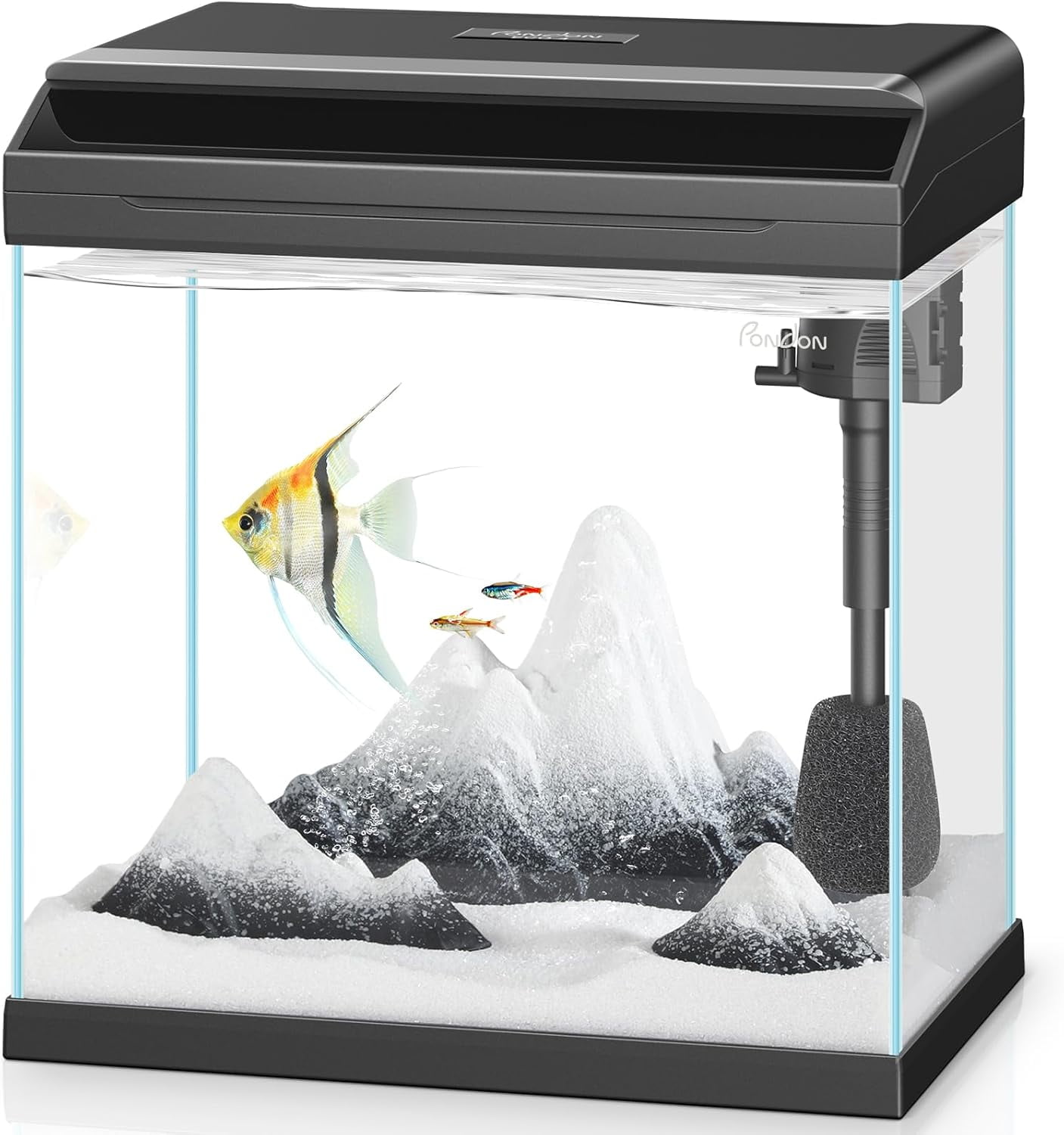 4 Gallon Fish Tank with Detachable Lid, Low-Iron Glass Aquarium Starter ...