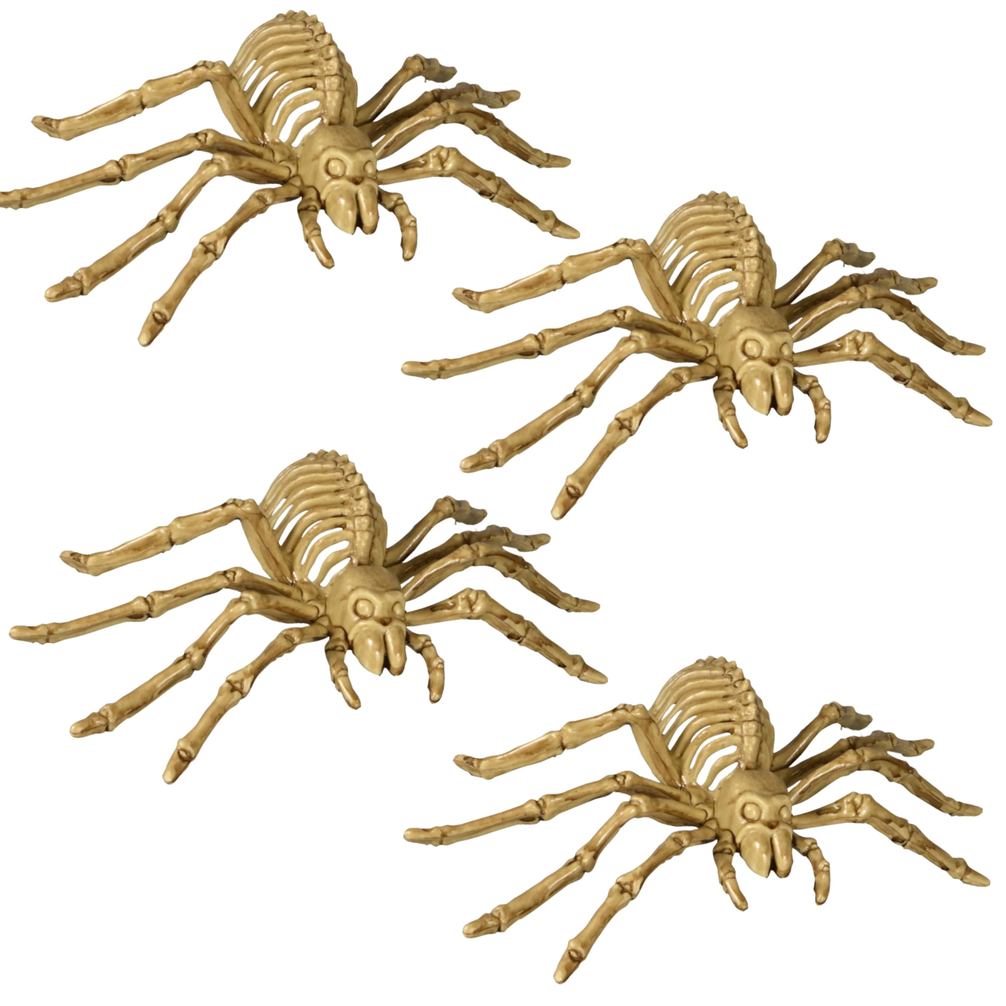 (4) Halloween Spider Skeleton, 10-in. Creepy Realistic Crawling Bone ...