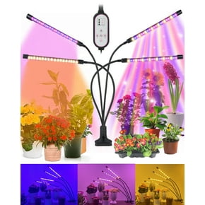 Battery Operated Grow Light