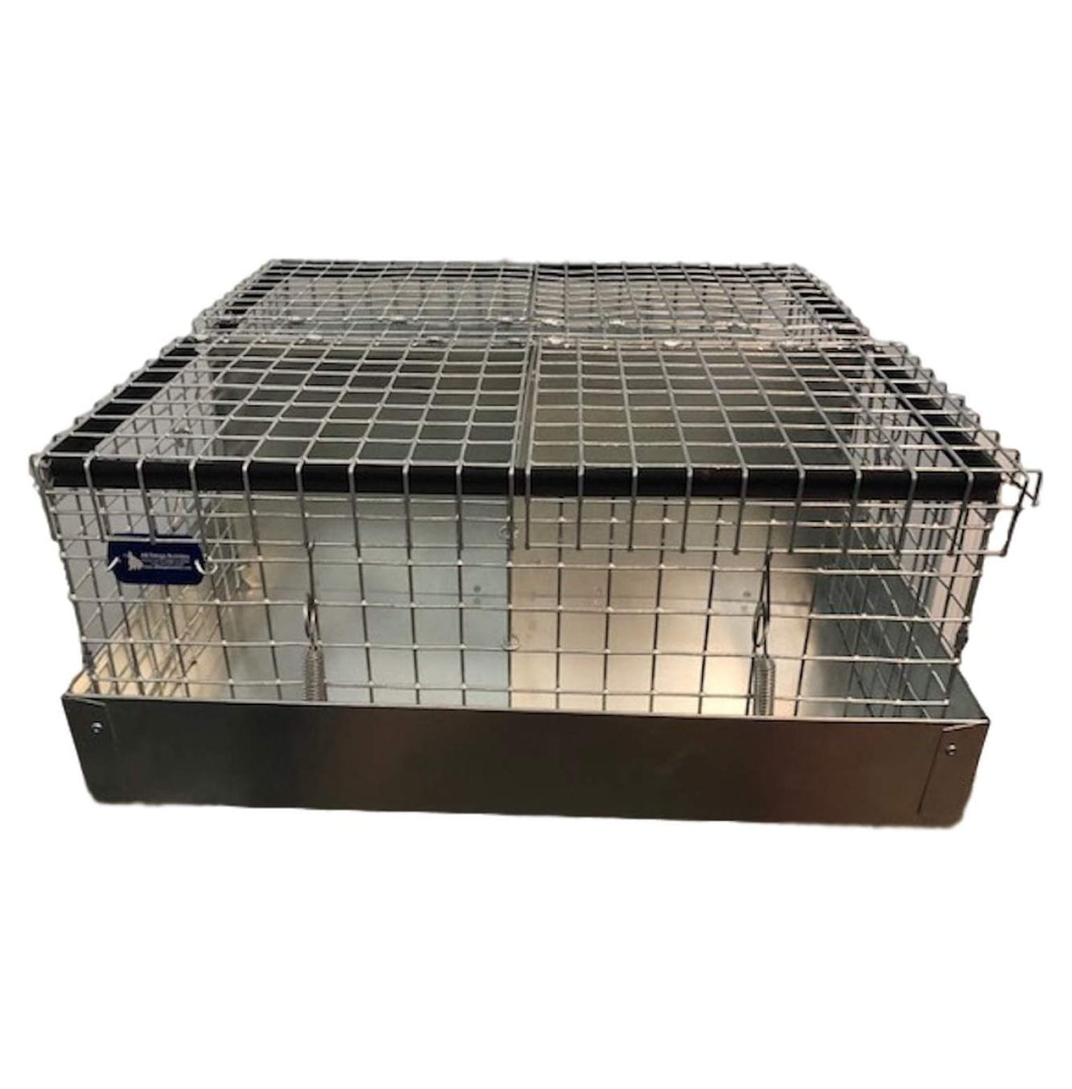 Cavy Cages
