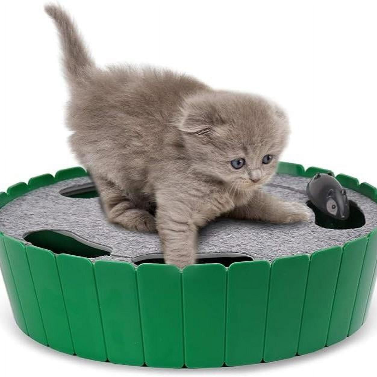 4 Holes Whack-a-mole Electric Cat Toy, Interactive Cat Toy with Running Mouse, Pop and Play Hide ...