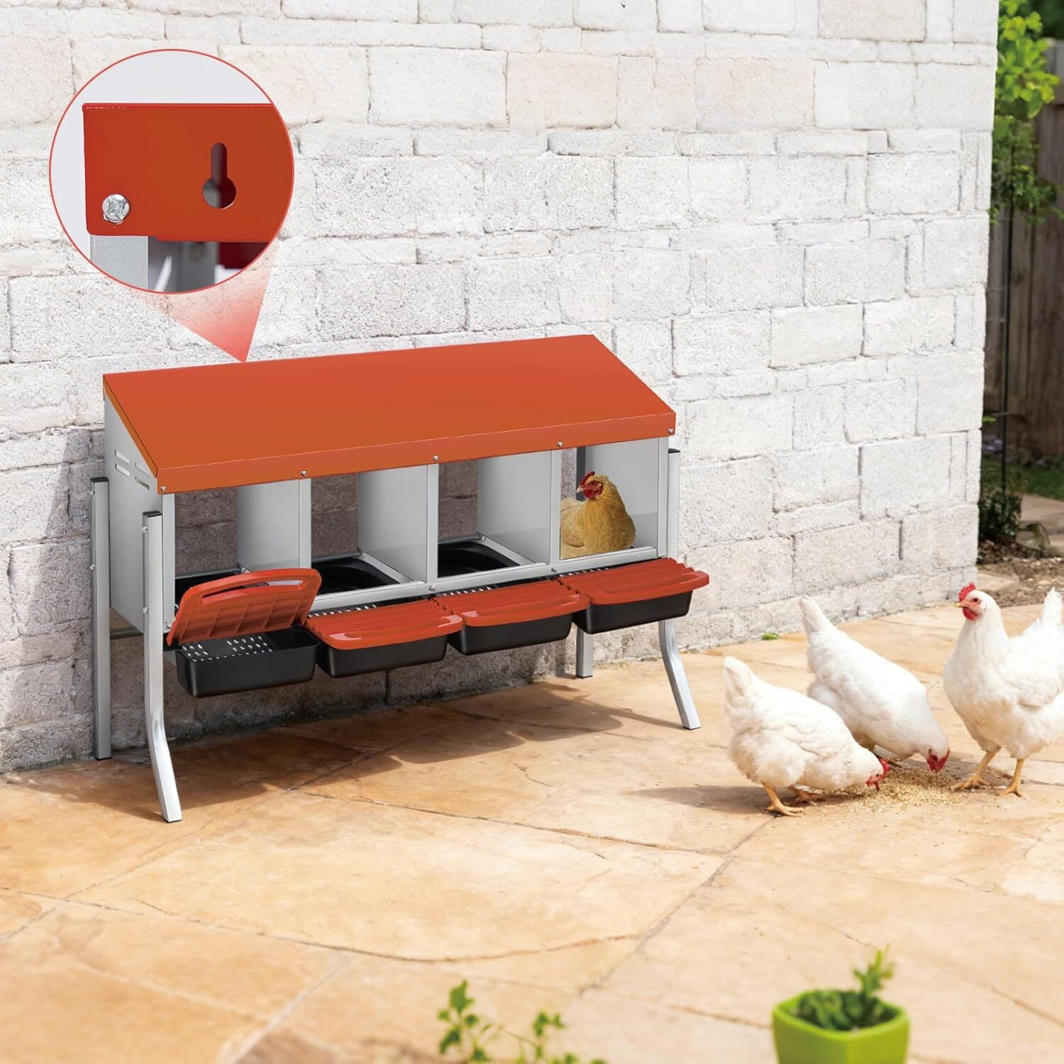 4 Holes with legs-Galvanized Steel Chicken Nesting Box-Automatic Roll ...