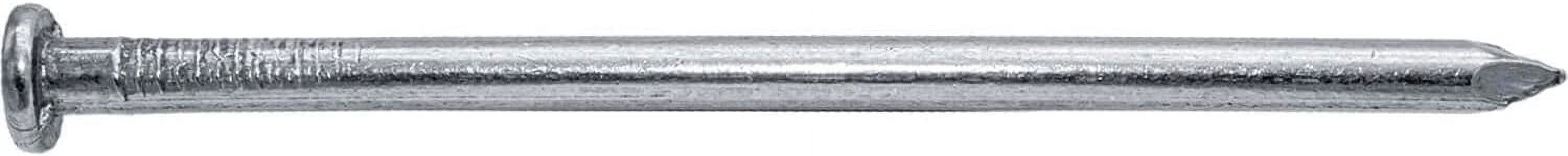 4 Inch Bright Common Nail (20D) 1 pound ~26 Nails. Good for general ...