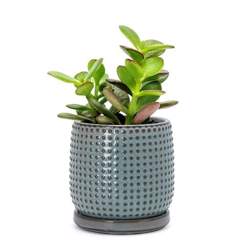 4 Inch Ceramic Beaded Stoneware Planter Pot - Flower Pot with Drainage ...