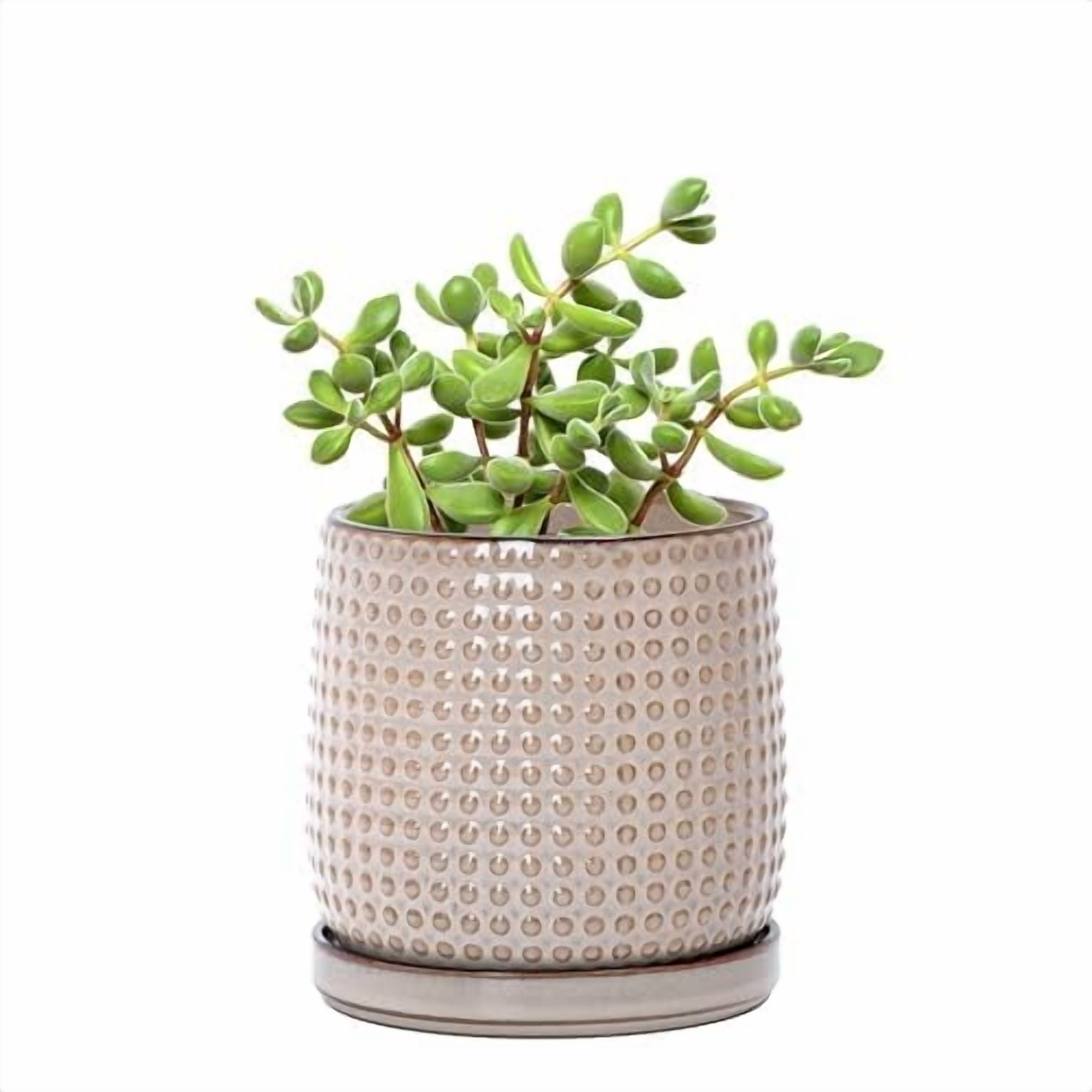 4 Inch Ceramic Beaded Stoneware Planter Pot - Flower Pot with Drainage ...