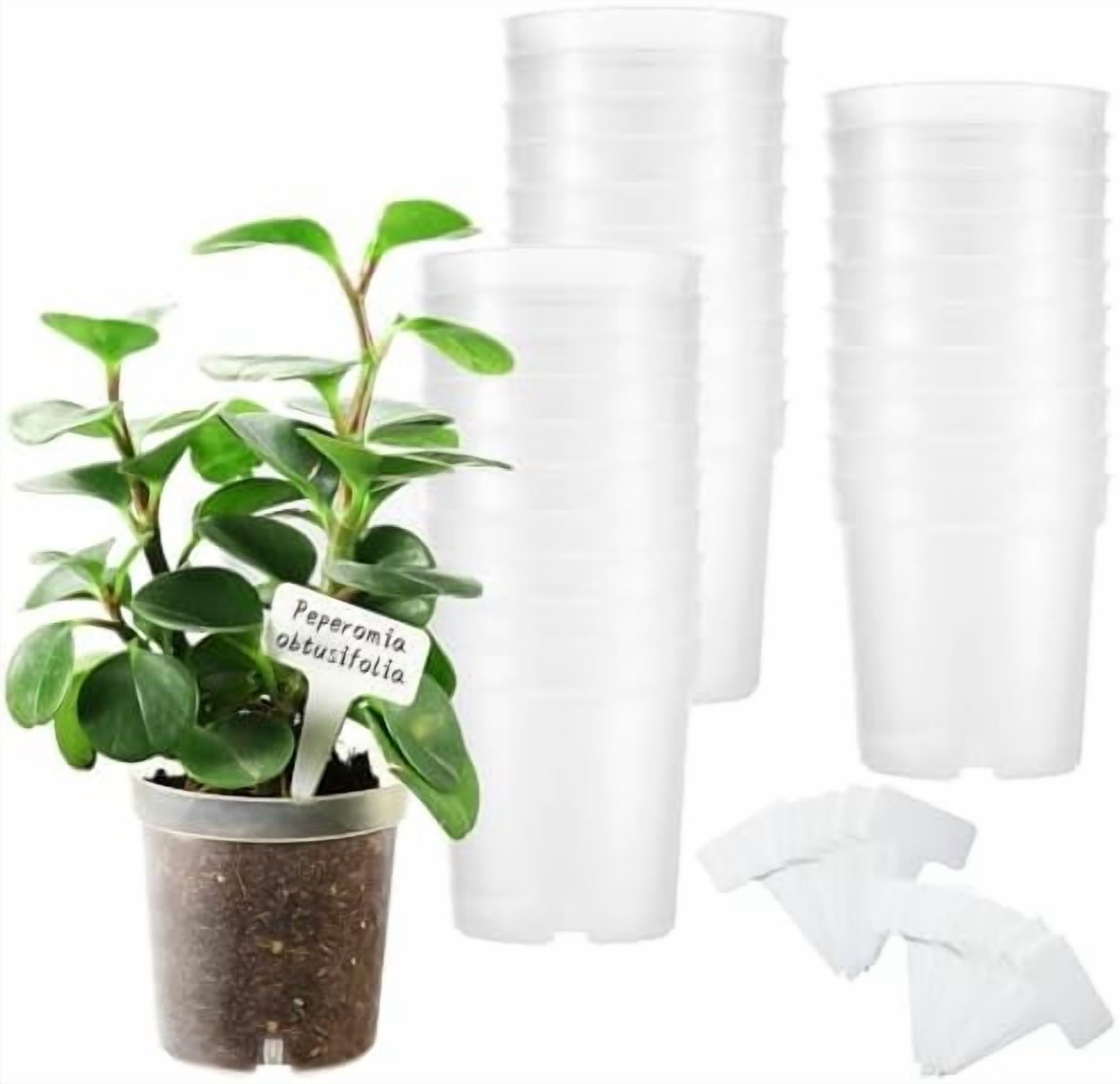 4 Inch Clear Nursery Pots for Plants, Transparent Plastic Plant Pots ...