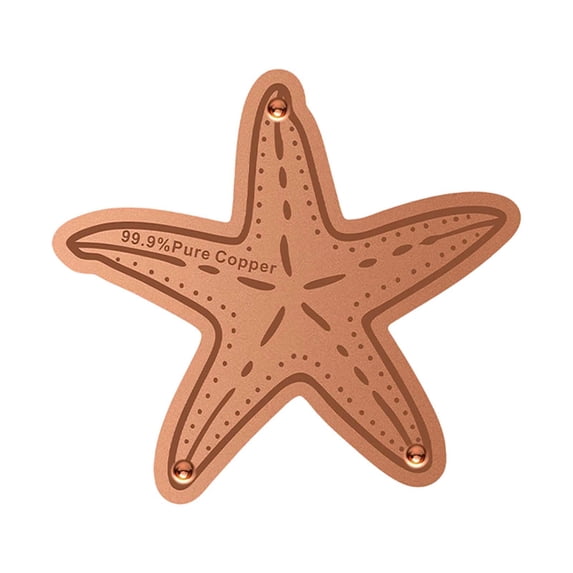 4 Inch Decorative Copper Bird Bath Plate, 3-5 Point Support Water ...