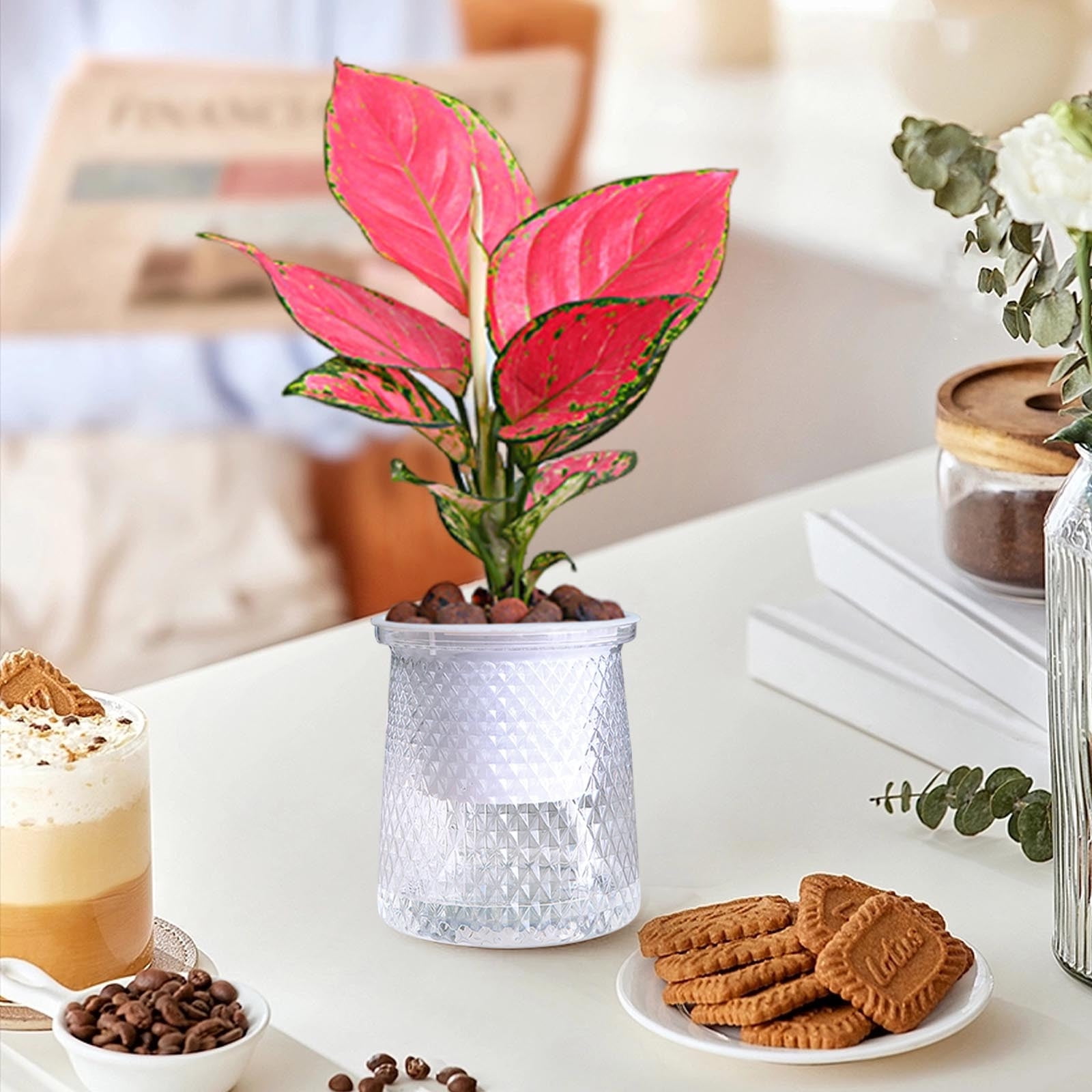 4 Inch Design Self Watering Planter for Indoor Plants, Clear Plastic ...