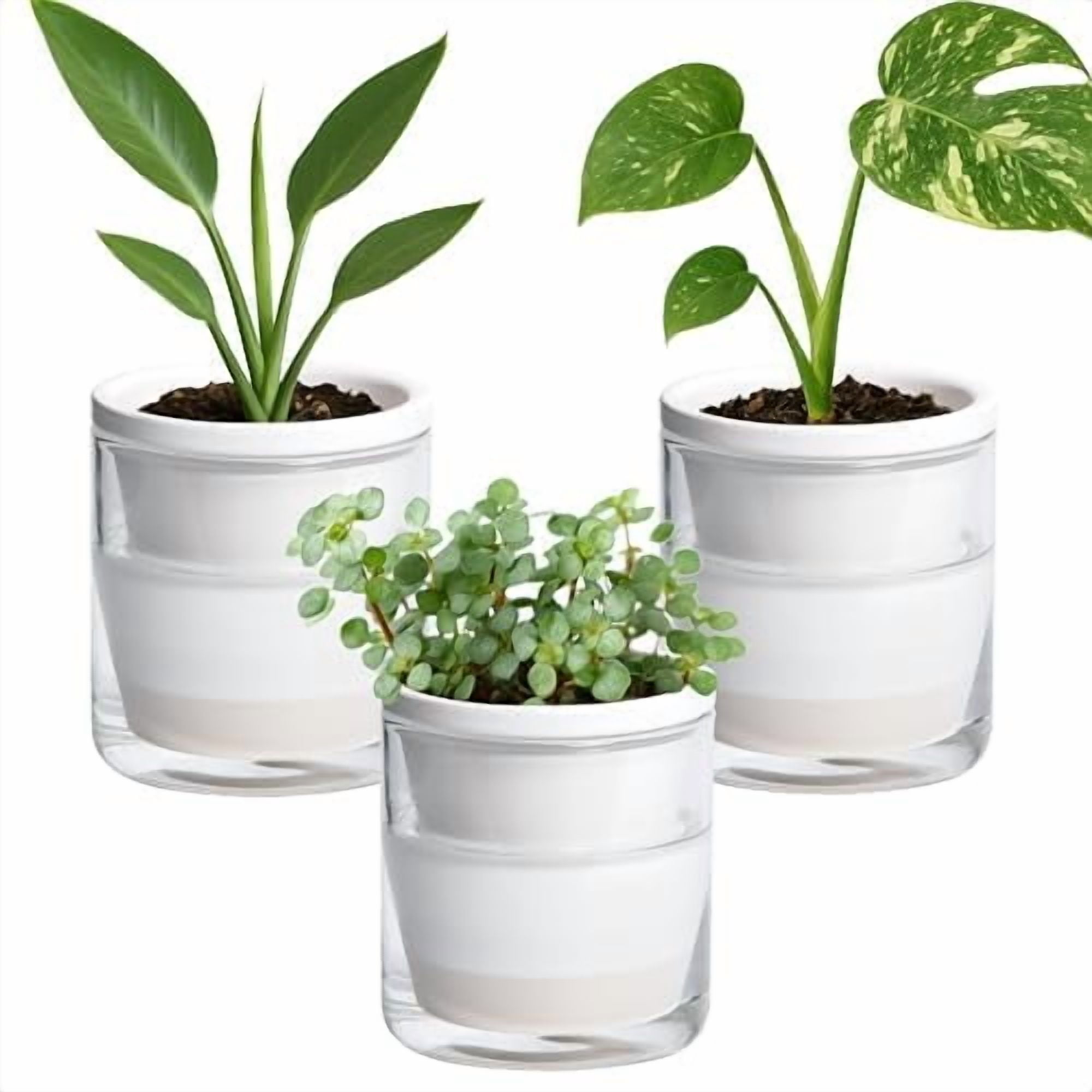 4 Inch Design Self Watering Planter for Indoor Plants, White Terracotta ...