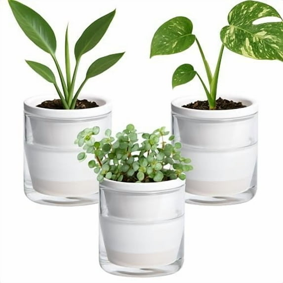 4 Inch Design Self Watering Planter for Indoor Plants, White Terracotta ...