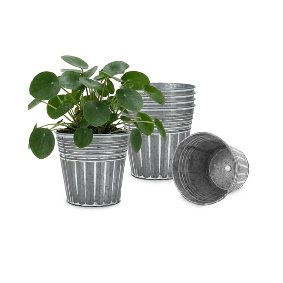 4 Inch Galvanized Metal Bucket Planter 6 Pack with Drainage Holes and ...