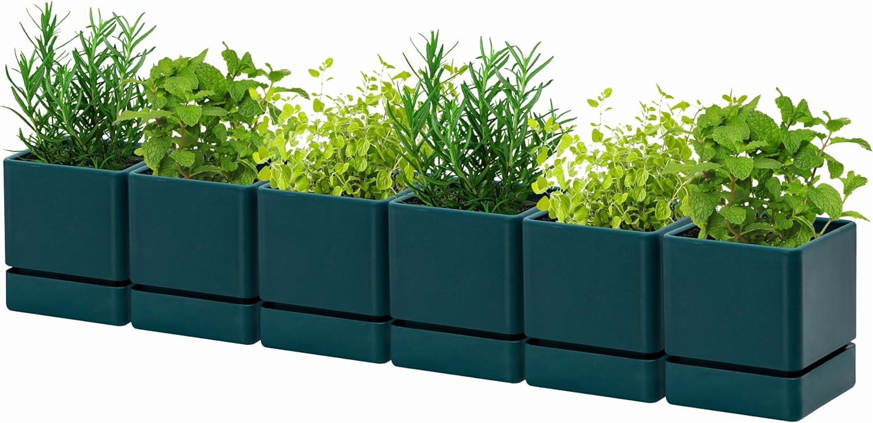 4 Inch Herb Planter Pot, Plastic Planter with Drainage Holes and Saucer ...