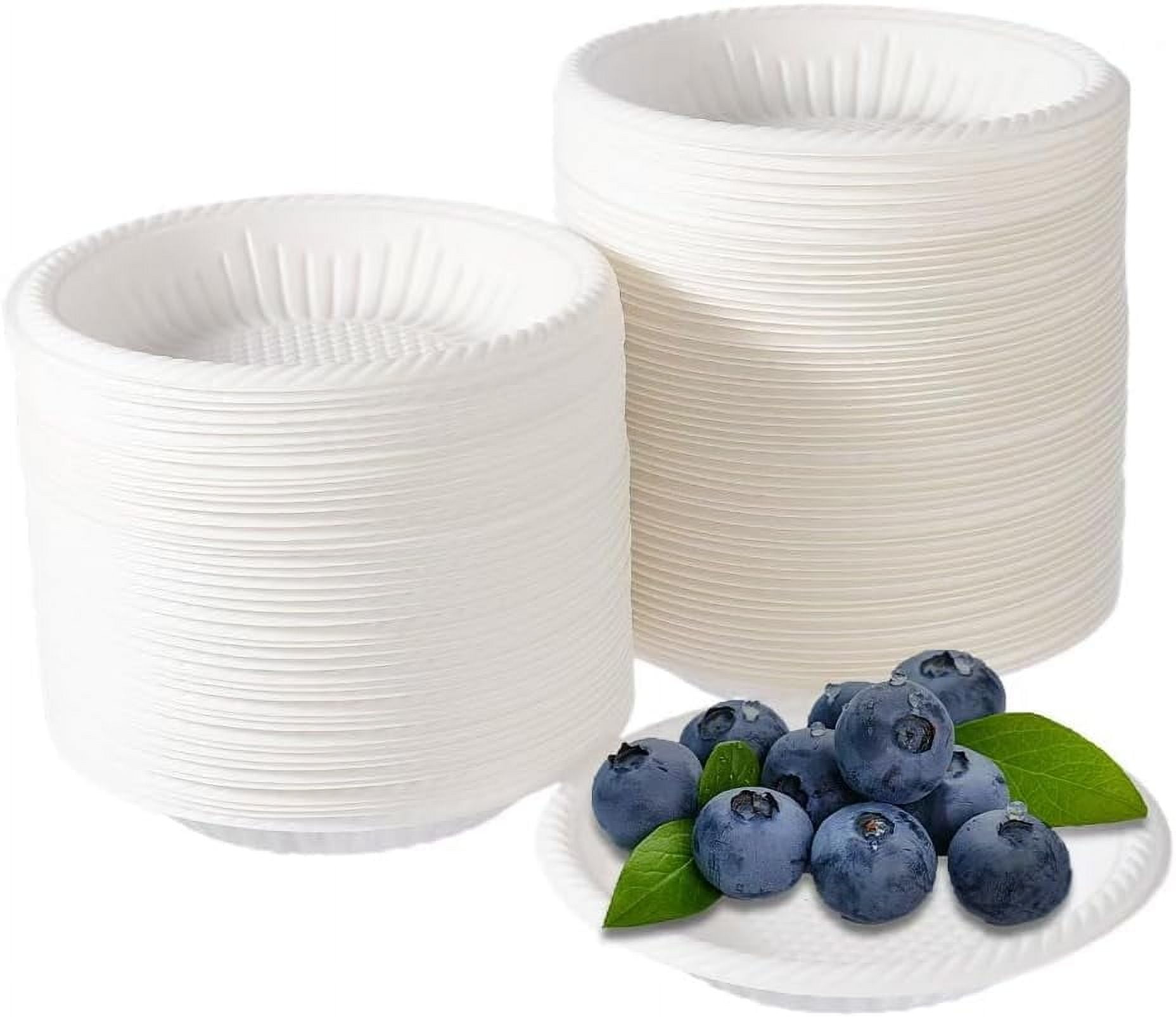 4 Inch Mini Disposable Plates 100 Count Small Plates for Pet Round ...