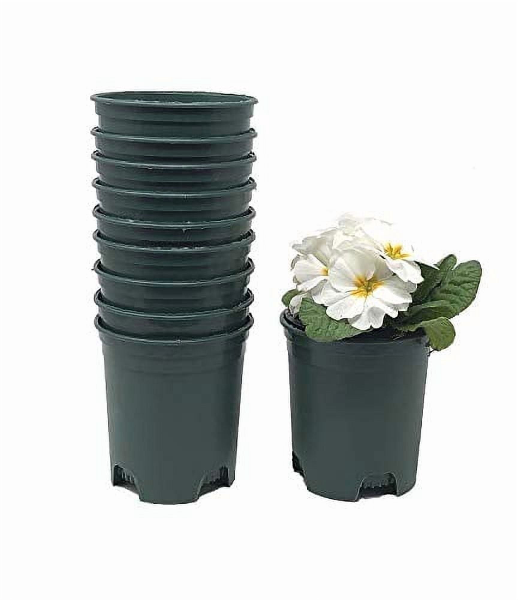 4-Inch Green Nursery Pots, Small Containers, 10-Pack 0.25 Gallon ...
