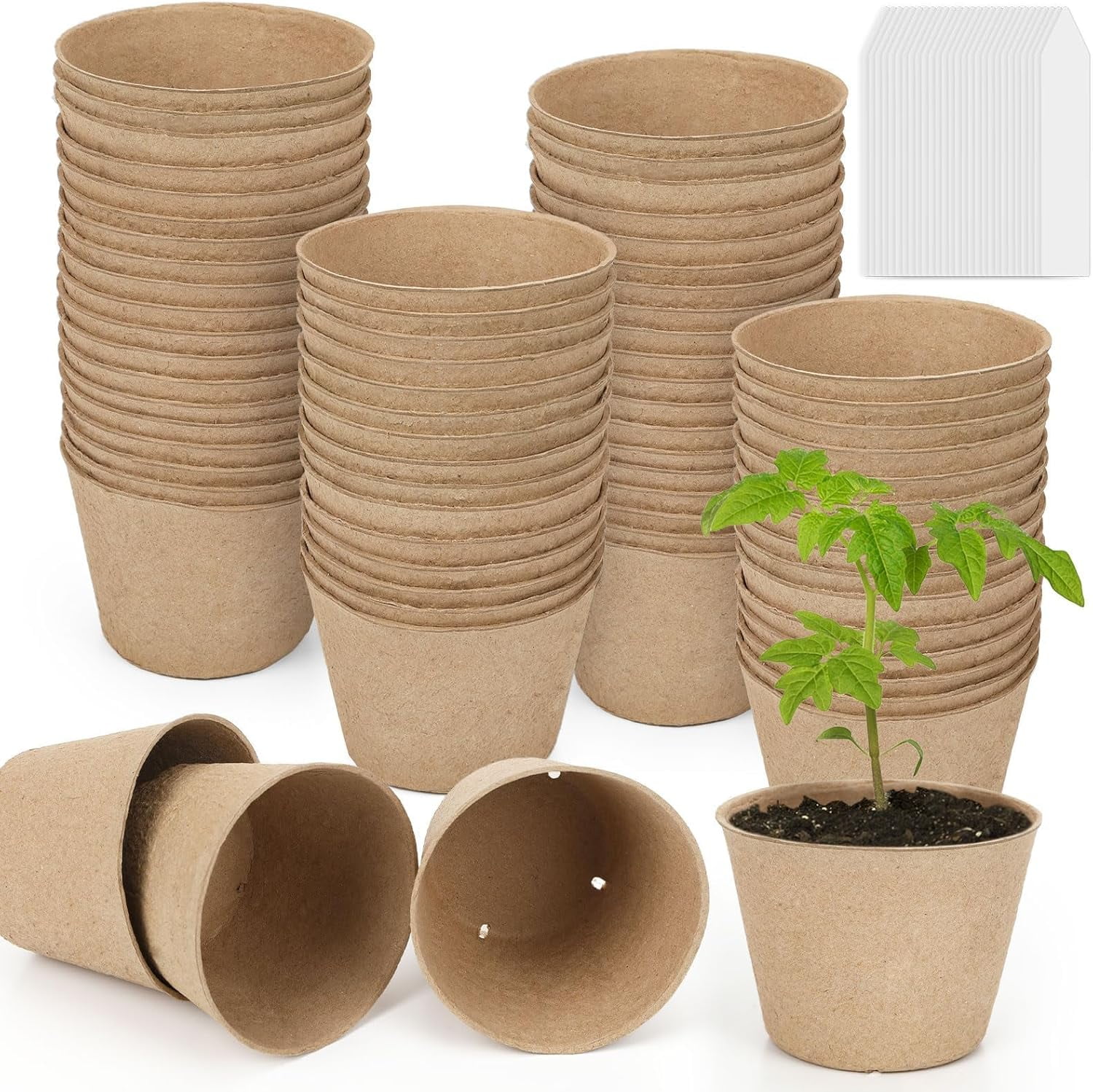 4 Inch Peat Pots, 50 Pack Seed Starter Nursery Pots Round Plant ...