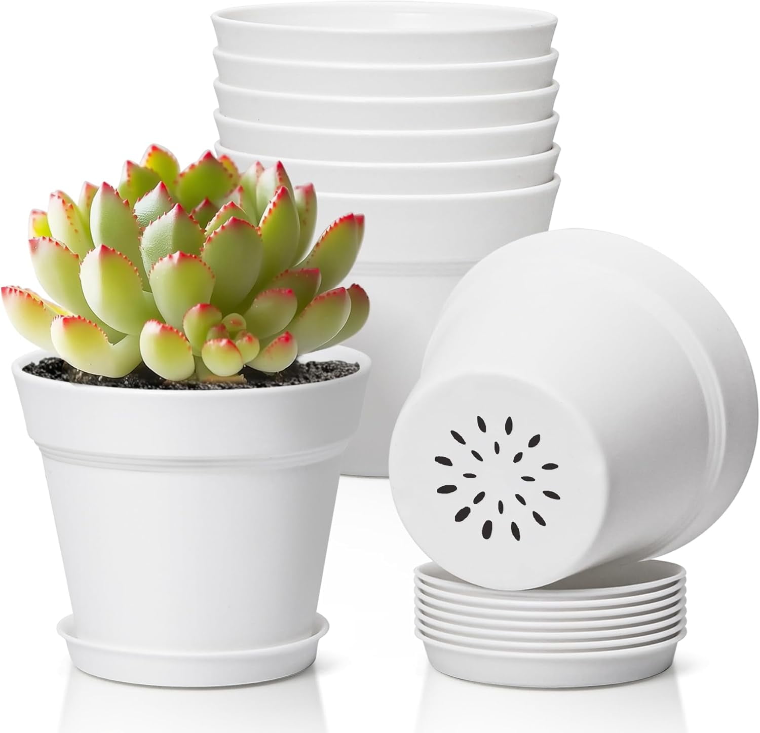 4 Inch Plant Pots 8-Pack, Small Flower Pots with Drainage Hole and ...