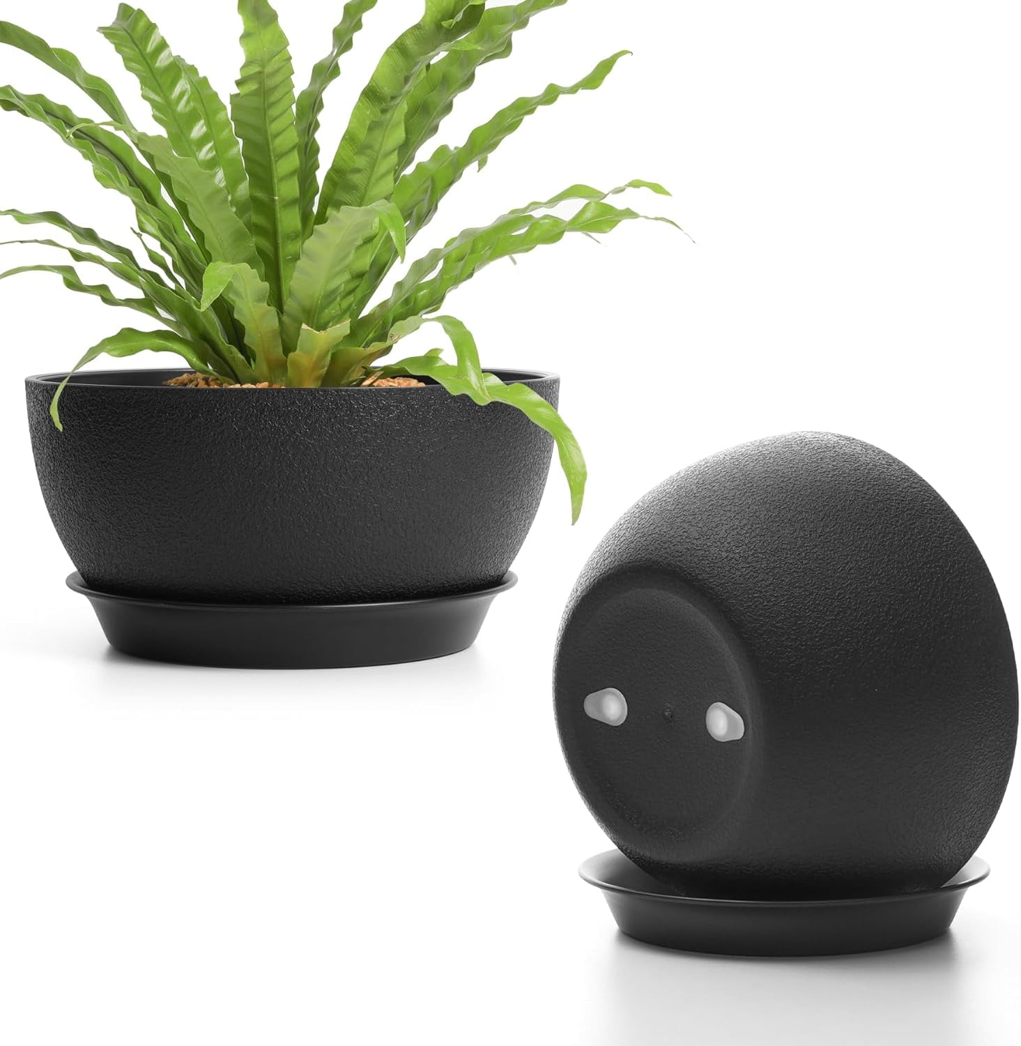 4 Inch Plant Pots 8-Pack, Small Flower Pots with Drainage Hole and ...