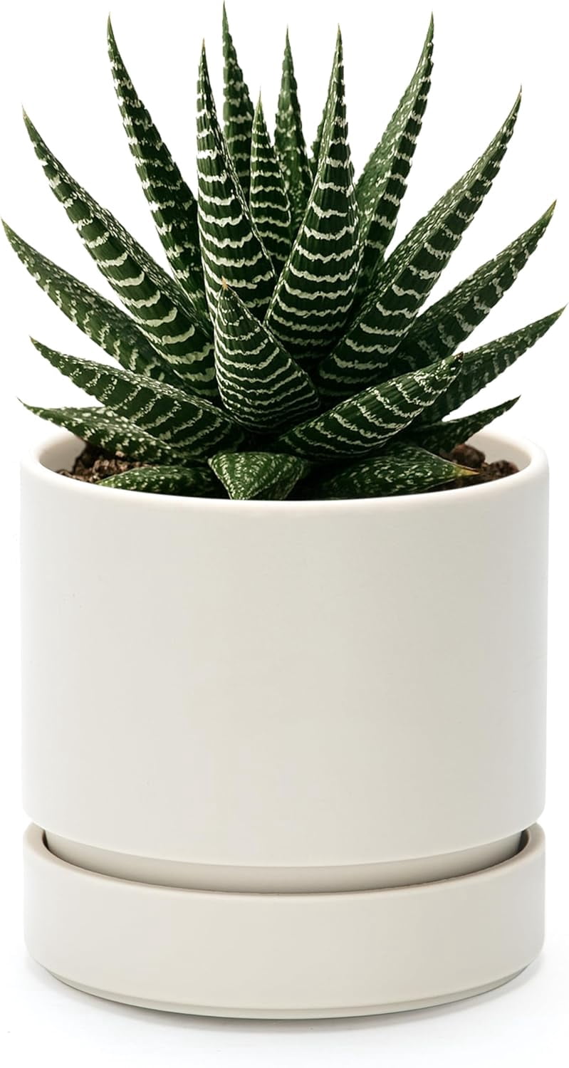 4 Inch Planter Pot with Drainage Hole & Saucer, Deep Water Catch Tray ...