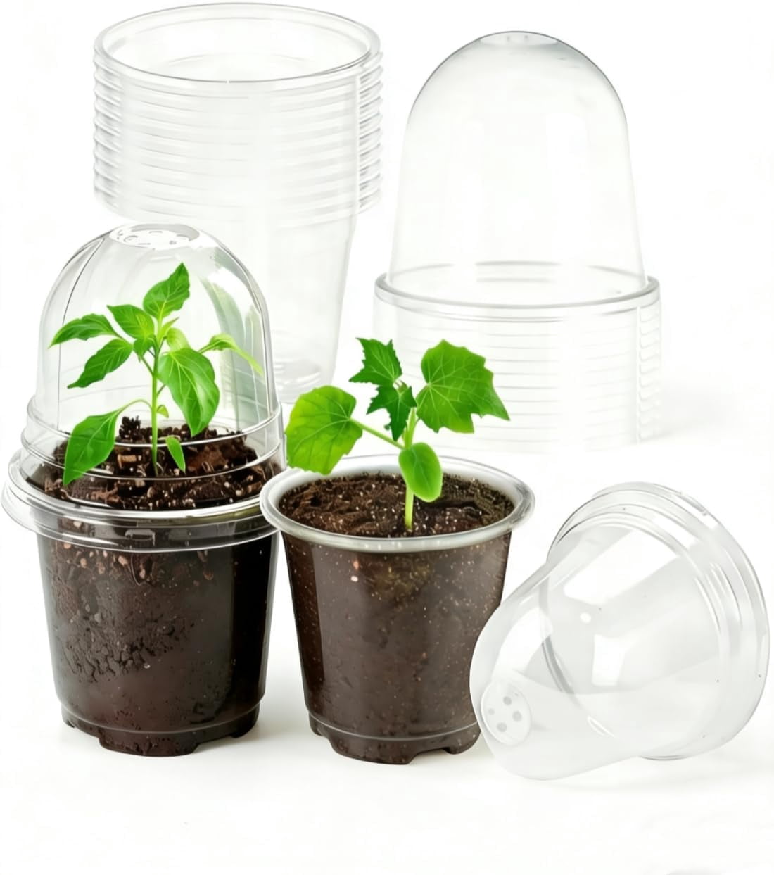 4 Inch Plastic Nursery Pots with Humidity Dome for Plants Clear Seed ...