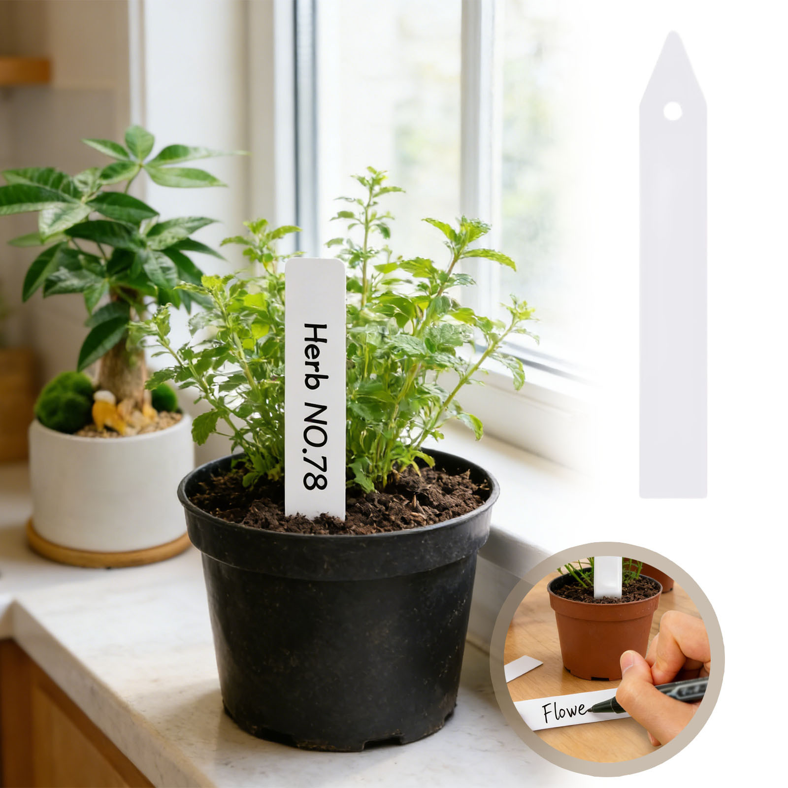 4 Inch Seedling Labels 100 PCS, Seeding Vegetable Garden Logo Label ...