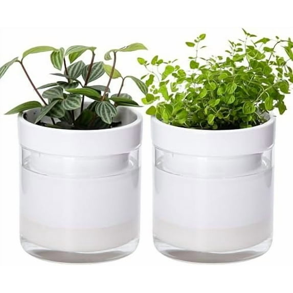 4 Inch Self Watering Planter, White Terracotta Clay Pot with Glass ...