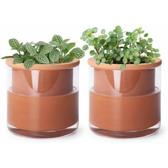 4 Inch Self Watering Plants Pot, Design Terracotta Pot for Plants ...